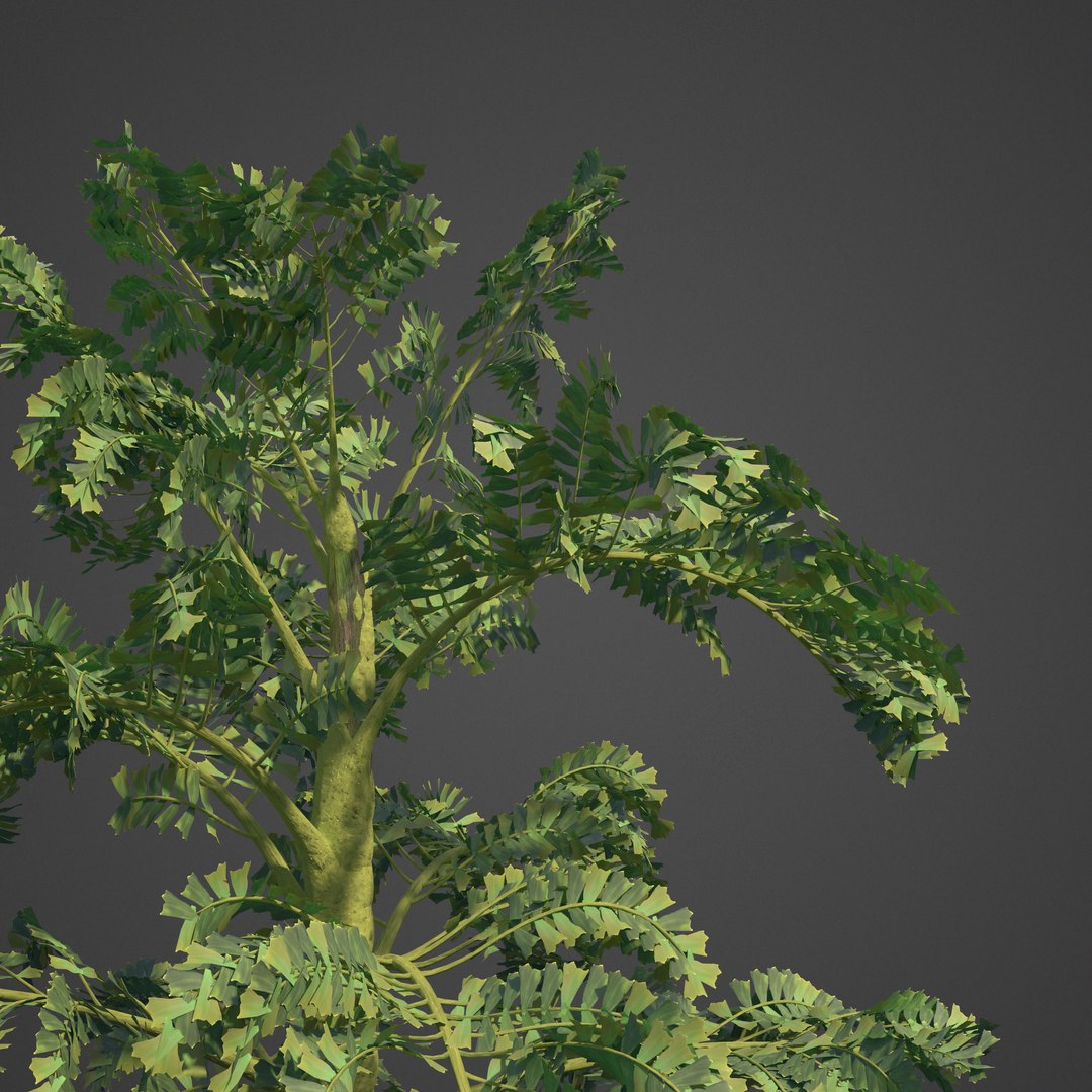 Palm tree nature 3D model - TurboSquid 1679651