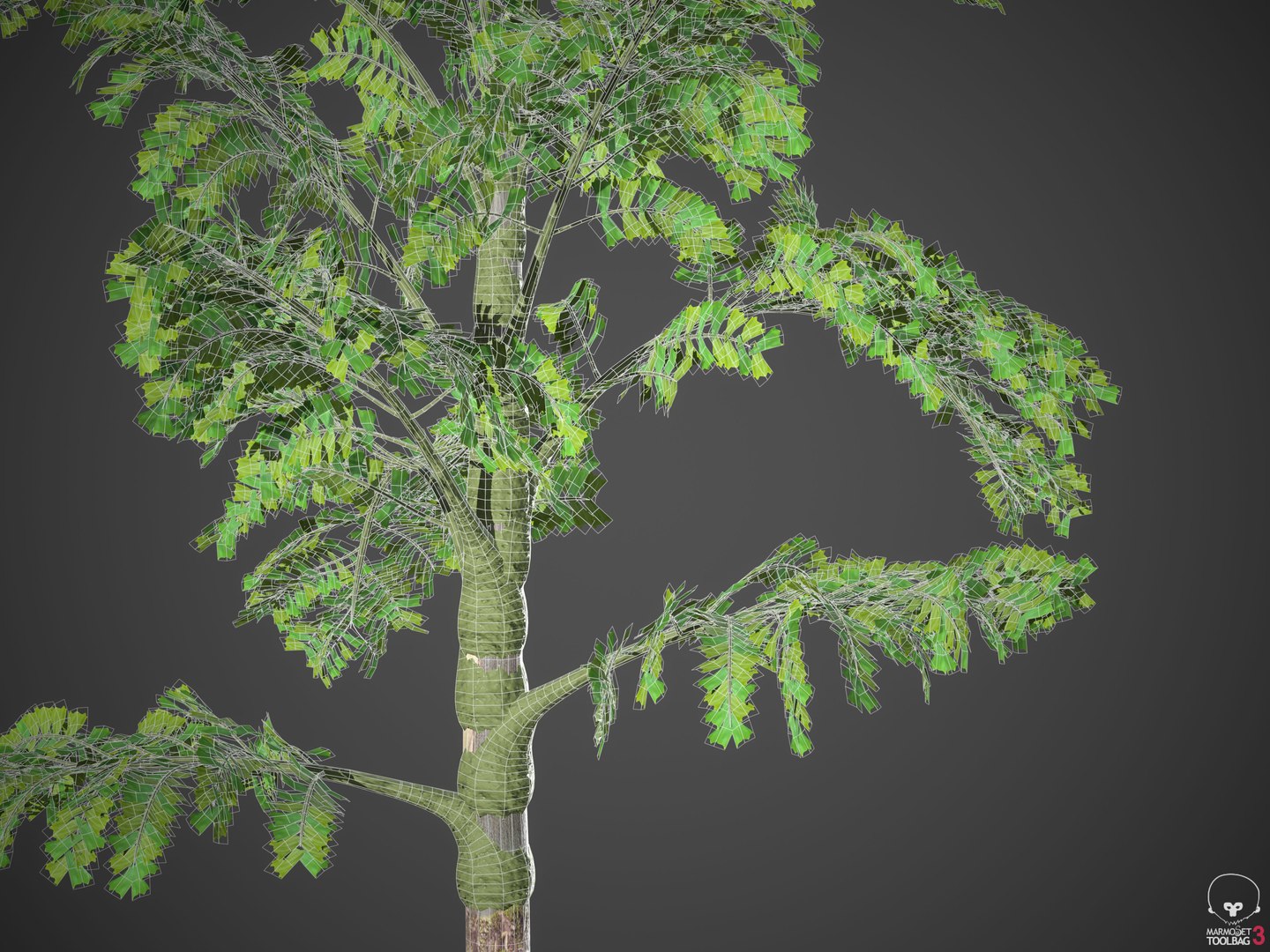 Palm tree nature 3D model - TurboSquid 1679651