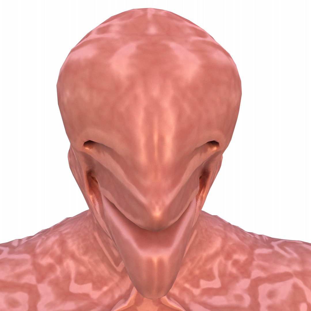 Smiley Rigged Engine 3d Model