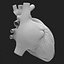 Human Heart Solidworks 3d Model