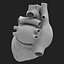 Human Heart Solidworks 3d Model