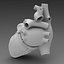 Human Heart Solidworks 3d Model