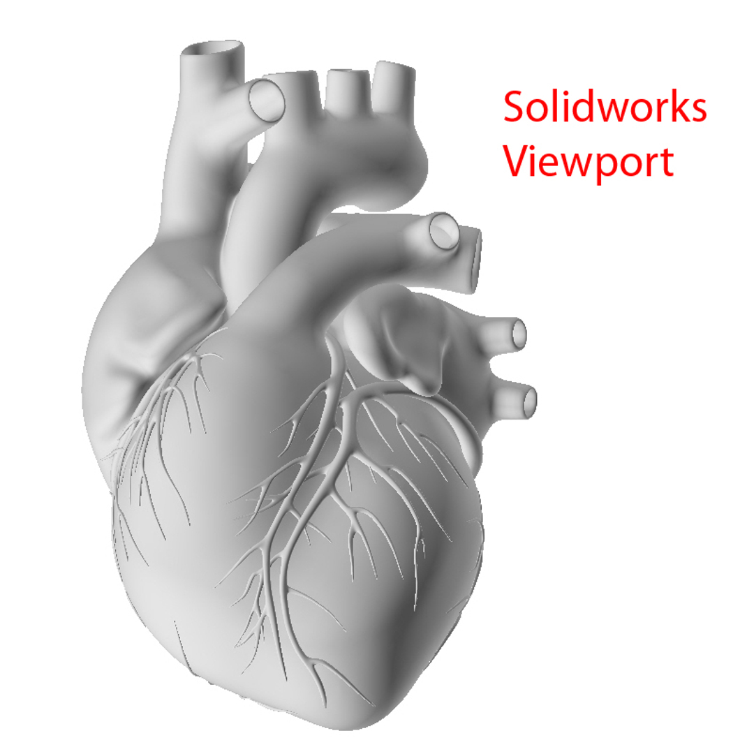 human heart solidworks 3d model