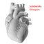 Human Heart Solidworks 3d Model