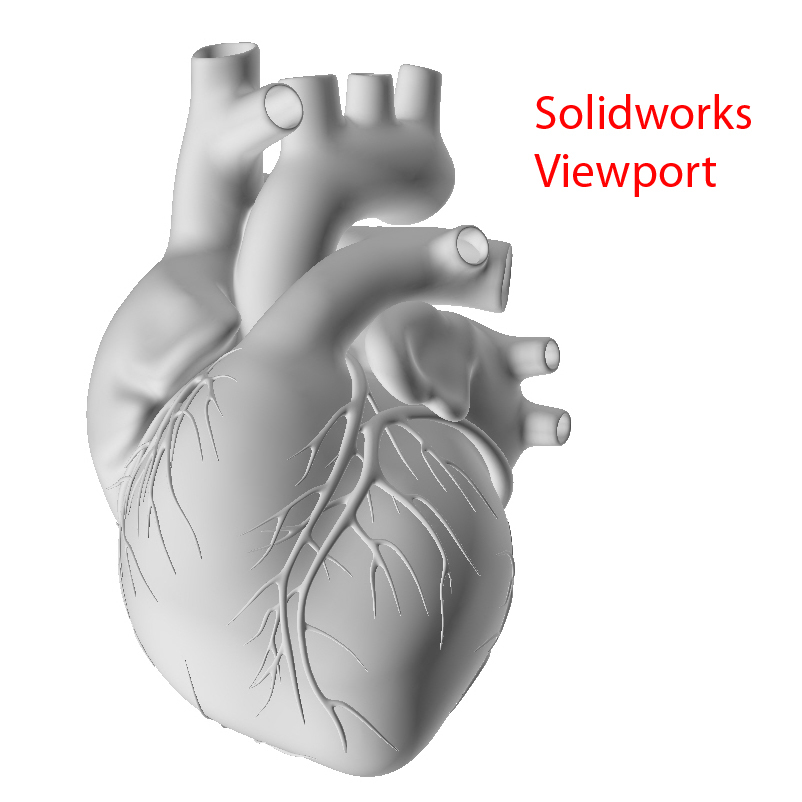 human heart solidworks 3d model