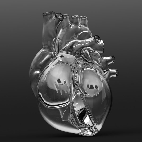 human heart solidworks 3d model