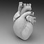 Human Heart Solidworks 3d Model
