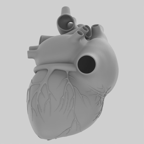 human heart solidworks 3d model
