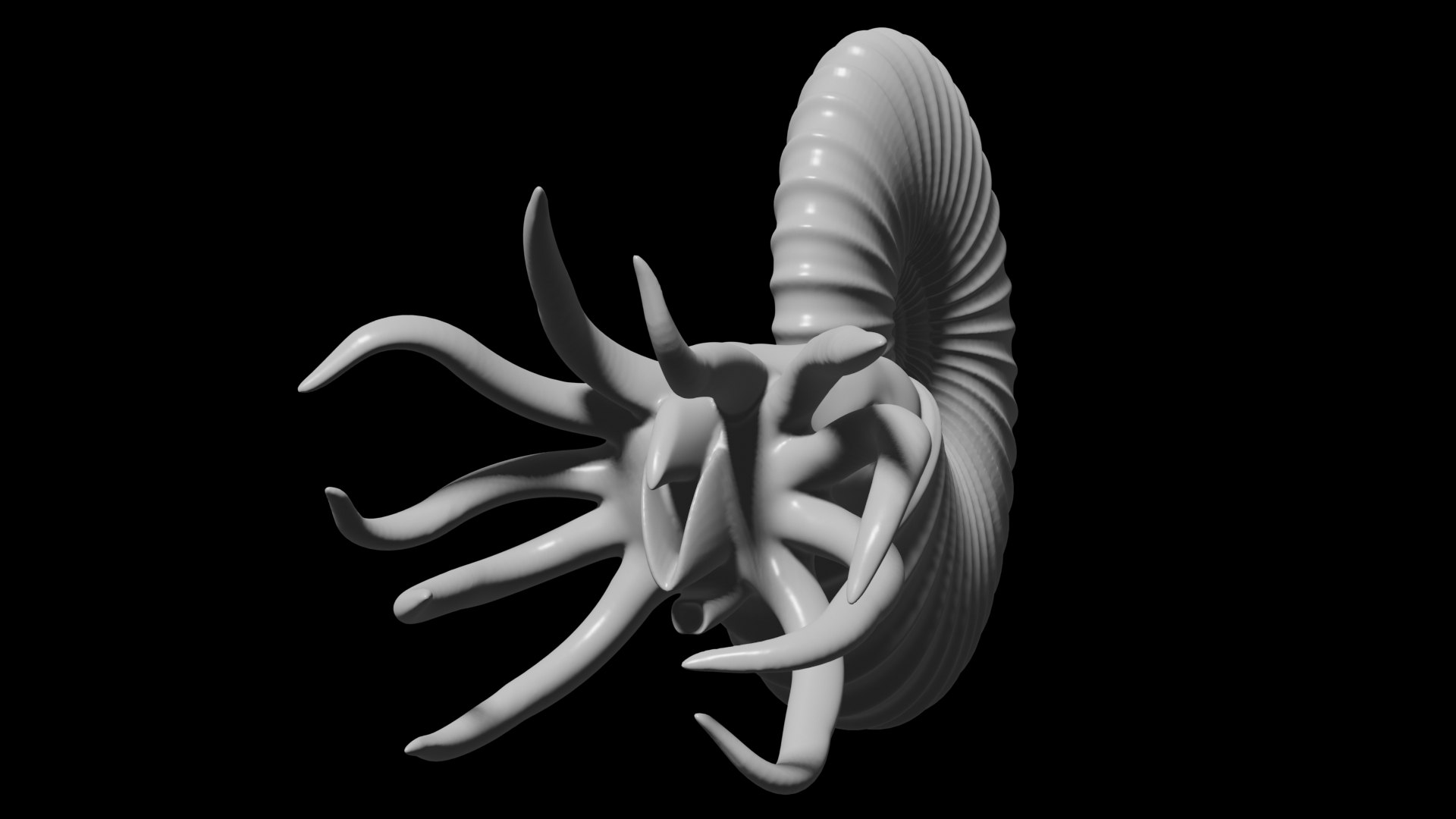 3D Ammonoid Reconstruction Shell Ammonites - TurboSquid 1485009