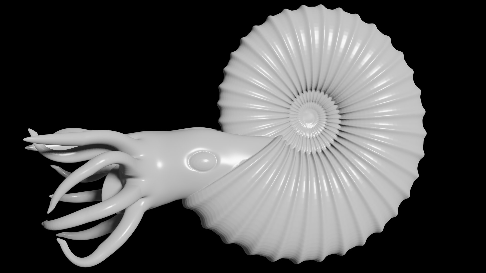 3D Ammonoid Reconstruction Shell Ammonites - TurboSquid 1485009