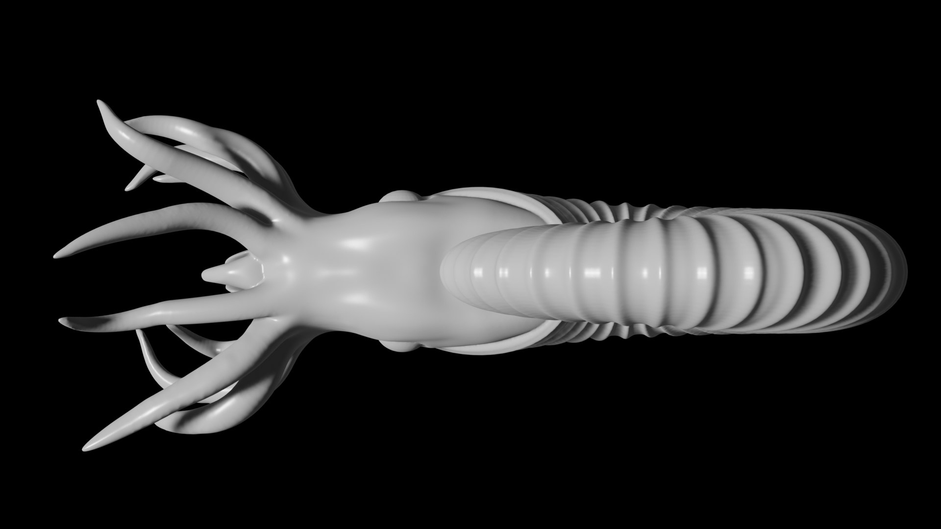 3D Ammonoid Reconstruction Shell Ammonites - TurboSquid 1485009