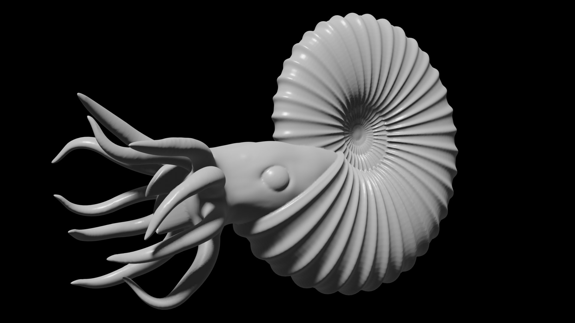 3D Ammonoid Reconstruction Shell Ammonites - TurboSquid 1485009
