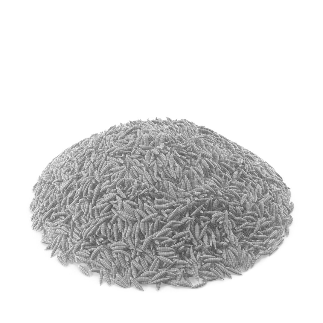 Fennel Seeds 3d Model Turbosquid 2057942