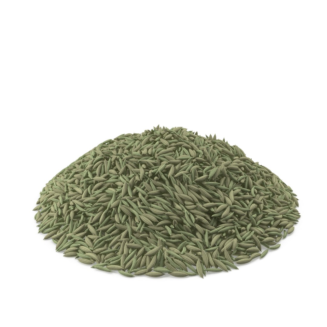 Fennel Seeds 3D Model - TurboSquid 2057942