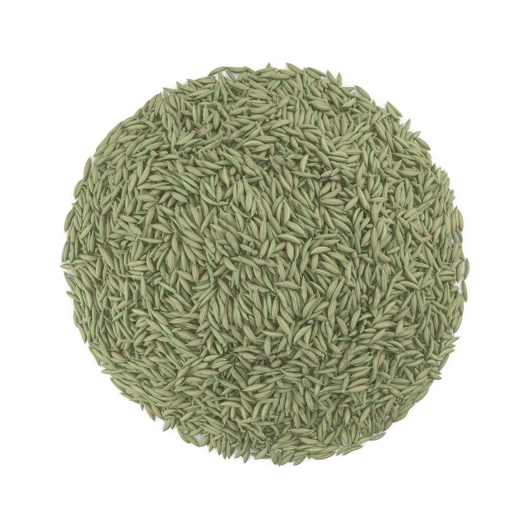 Fennel Seeds 3D Model - TurboSquid 2057942