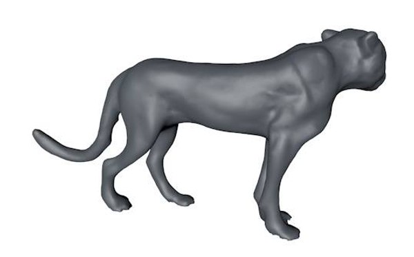 cheetah base mesh 3d model