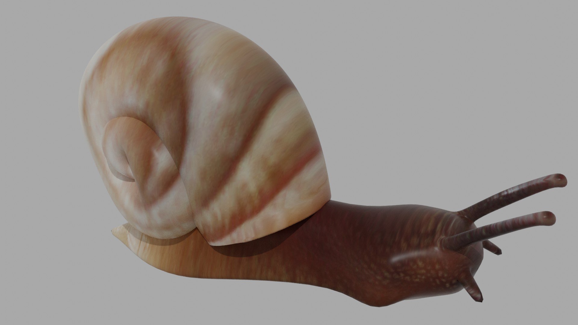 3D Snail OBJ - TurboSquid 2070611