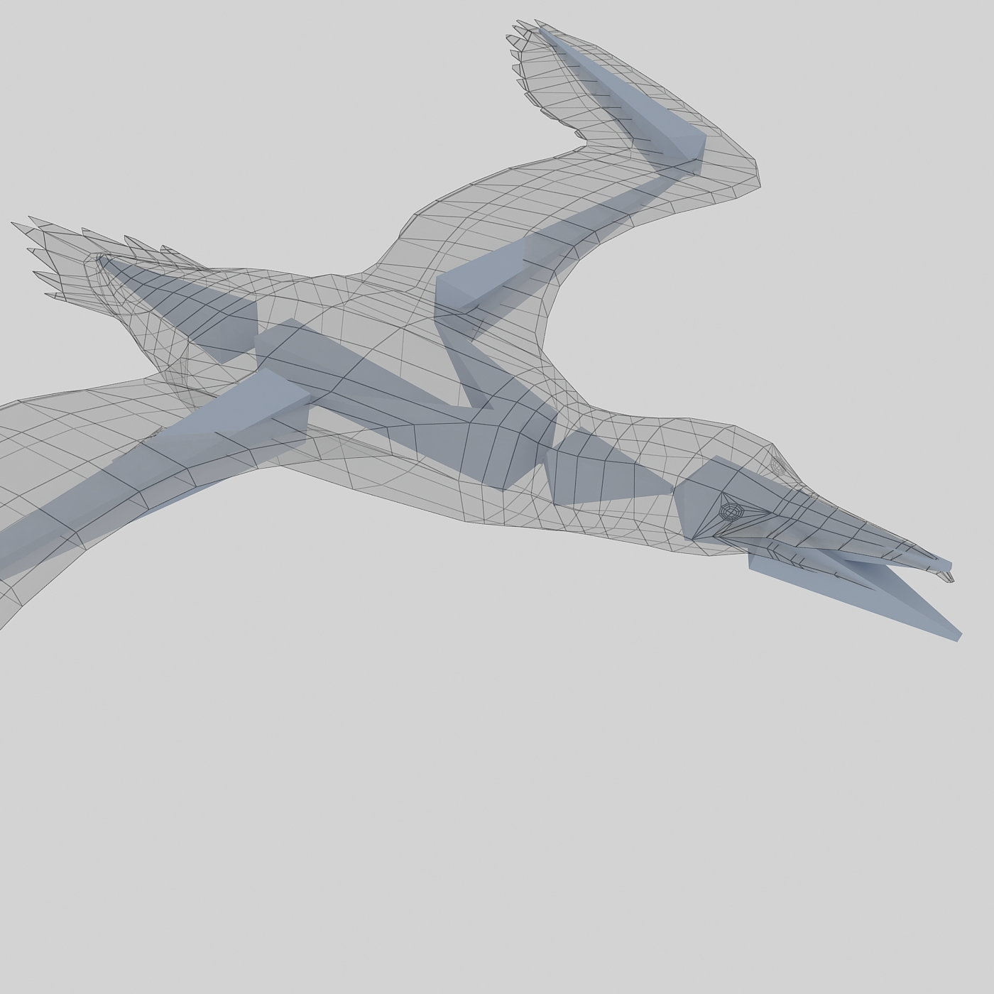 northern gannet 3d model