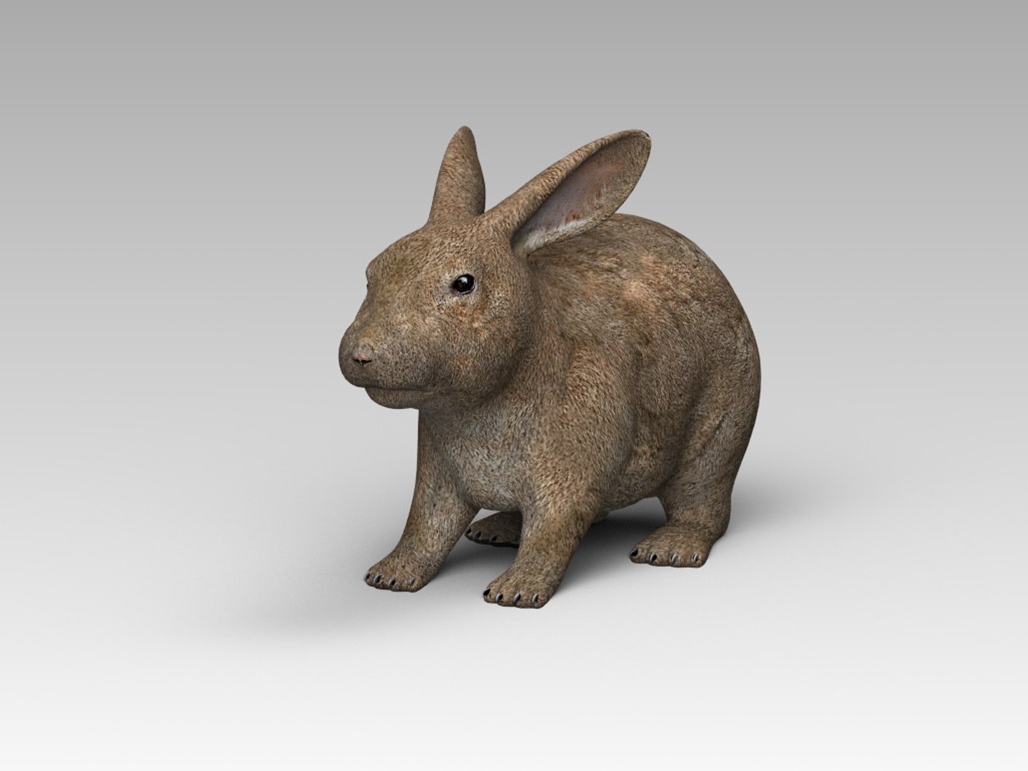 3ds max hare