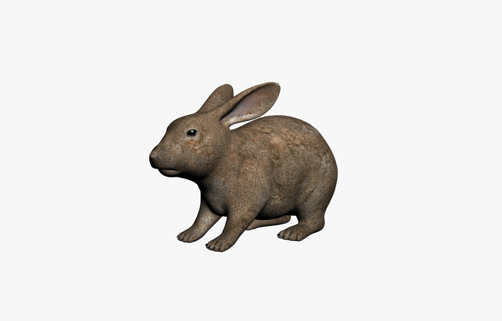 3ds max hare