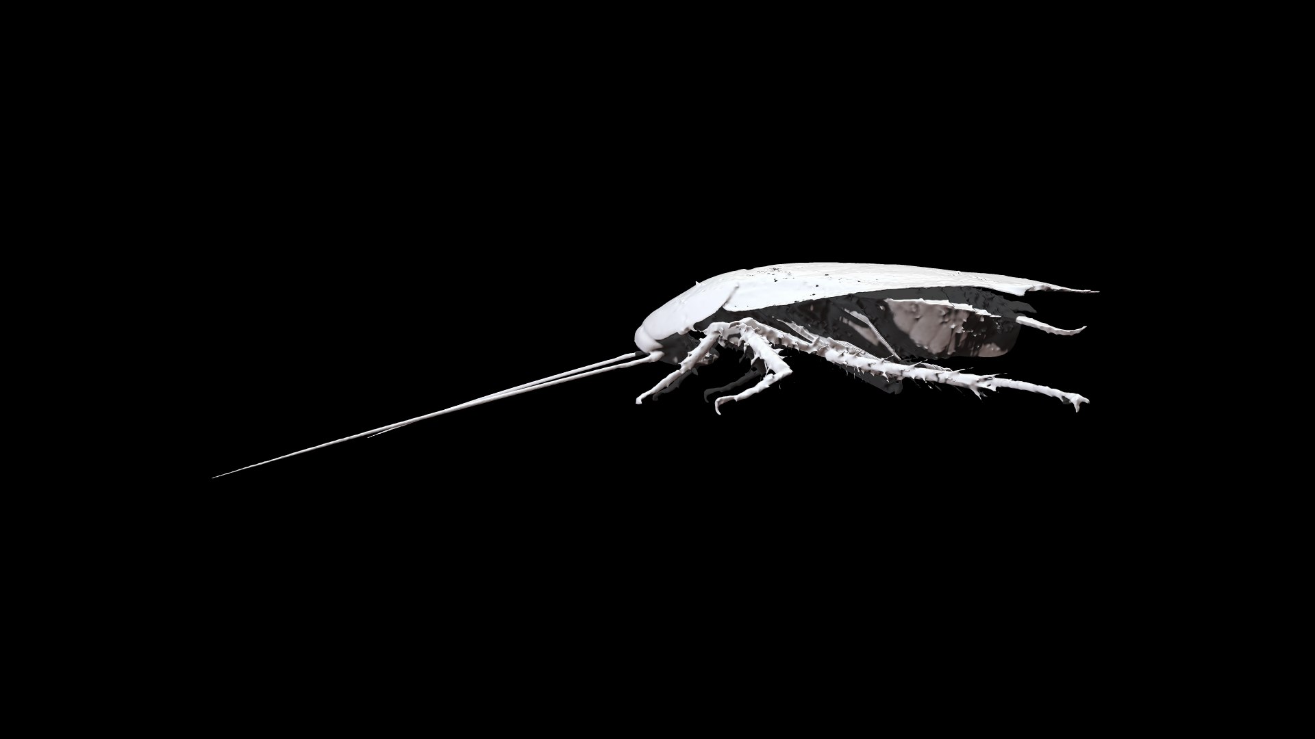 3D Smoky Brown Cockroach CT Scan - TurboSquid 1766135