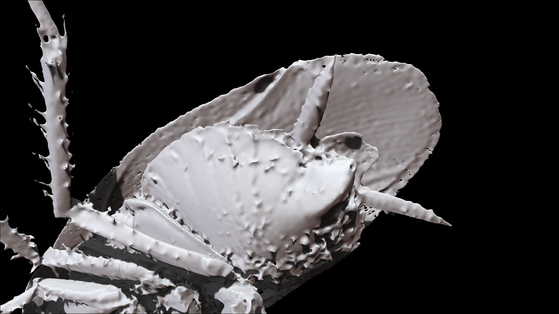 3D Smoky Brown Cockroach CT Scan - TurboSquid 1766135