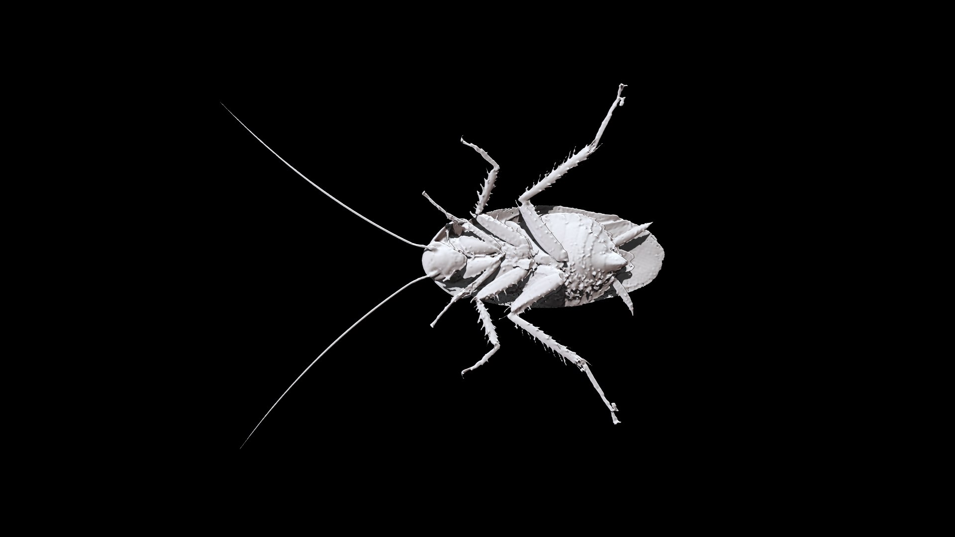 3D Smoky Brown Cockroach CT Scan - TurboSquid 1766135