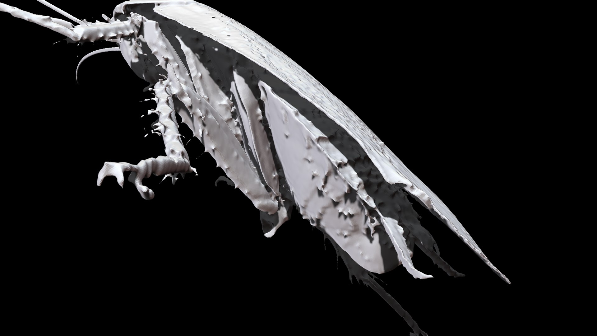 3D Smoky Brown Cockroach CT Scan - TurboSquid 1766135