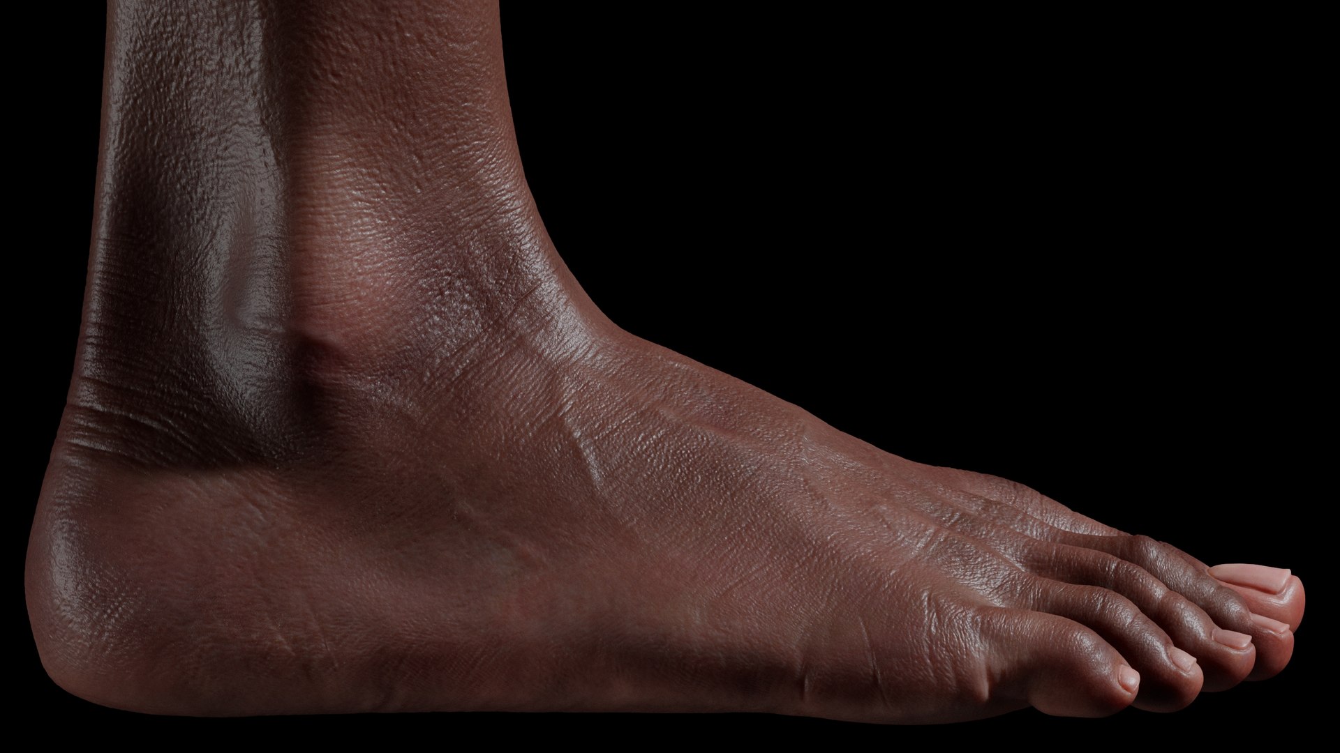 3D model Black foot Zbrush - TurboSquid 1764060