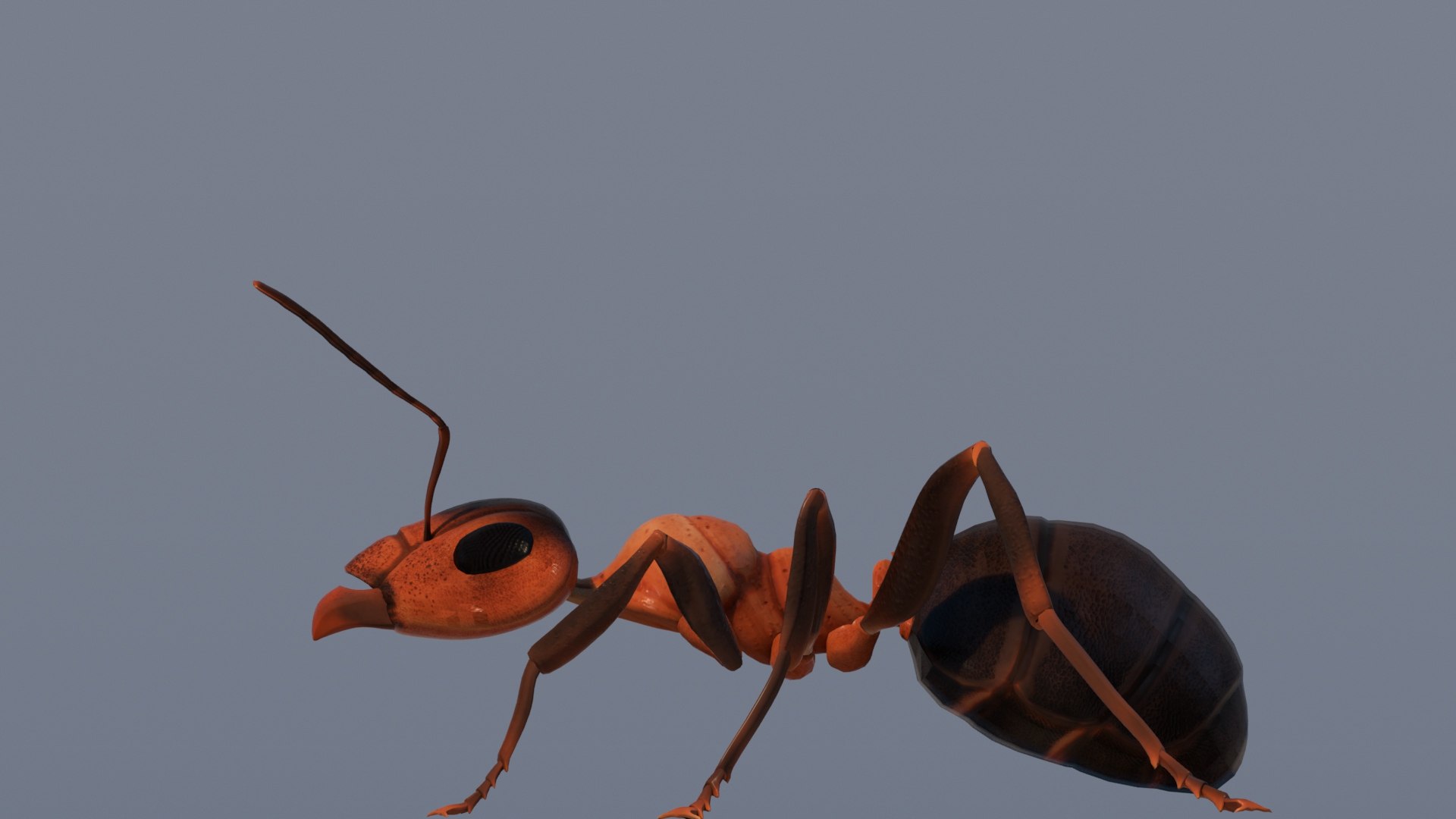 3D Ant realistic in 3 different colors - TurboSquid 2126730
