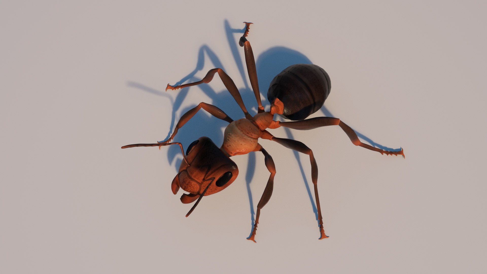 3D Ant Realistic In 3 Different Colors - TurboSquid 2126730