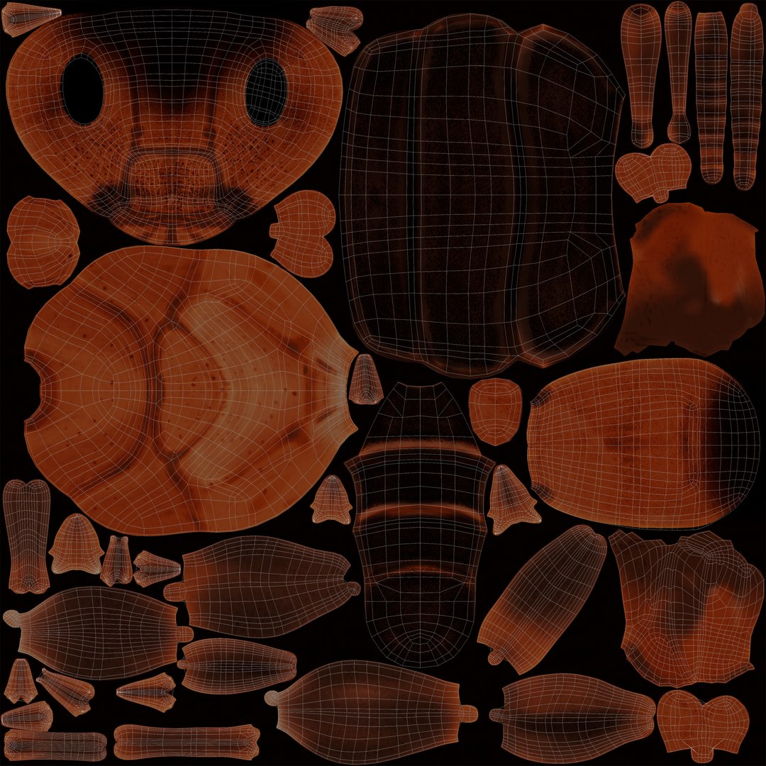 3D Ant Realistic In 3 Different Colors - TurboSquid 2126730