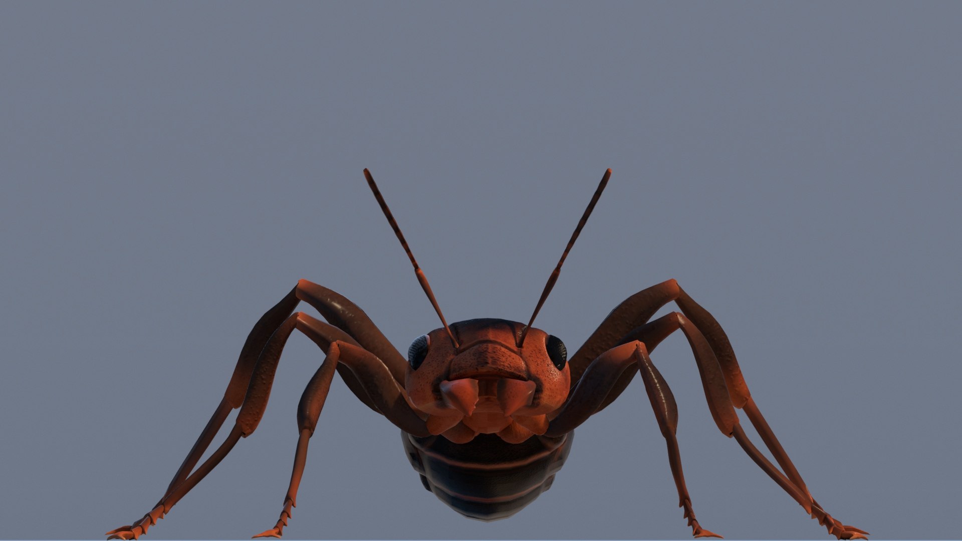 3D Ant Realistic In 3 Different Colors - TurboSquid 2126730