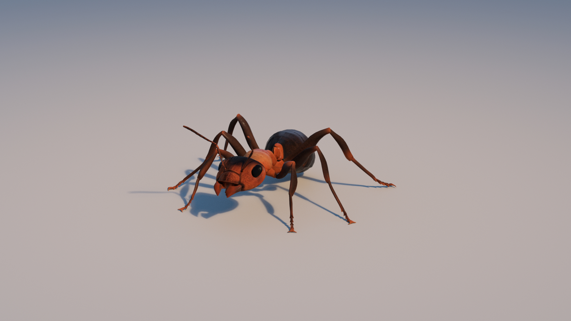 3D Ant Realistic In 3 Different Colors - TurboSquid 2126730
