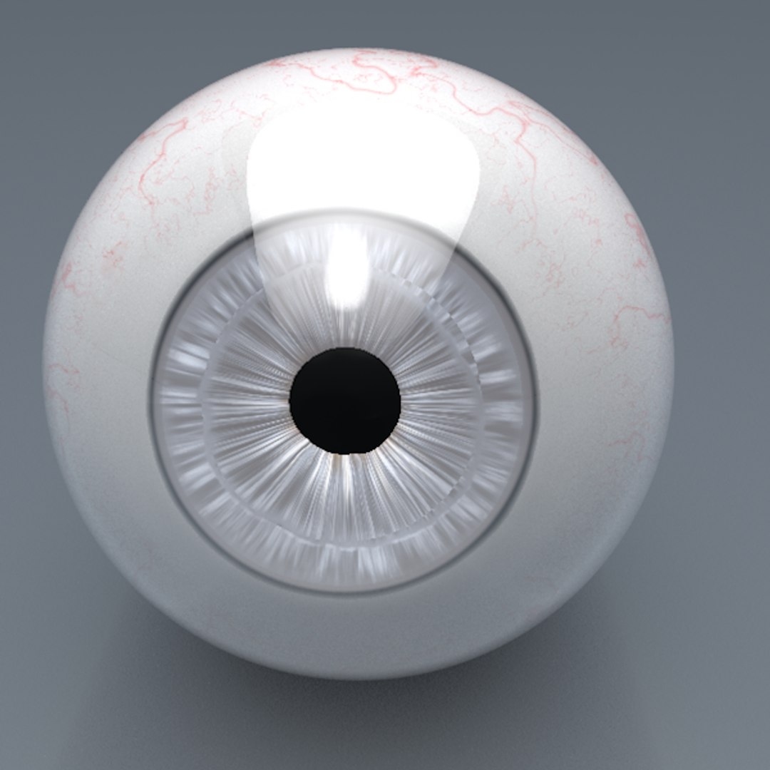 3d Human Eye