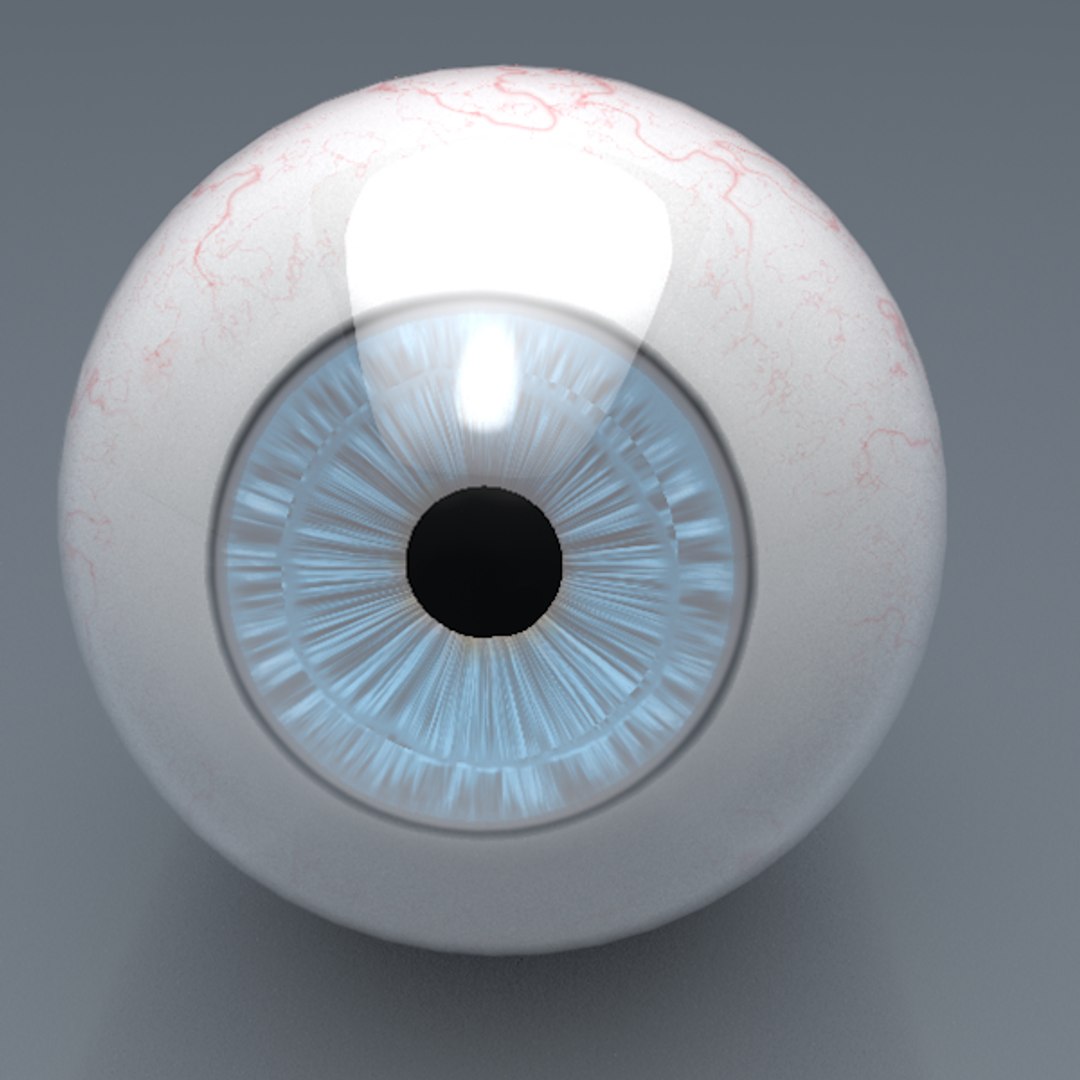 3d Human Eye