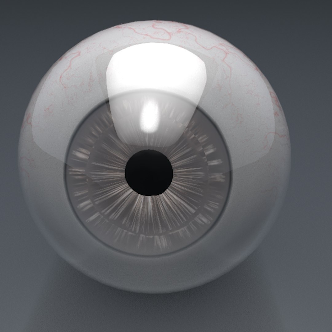 3d Human Eye