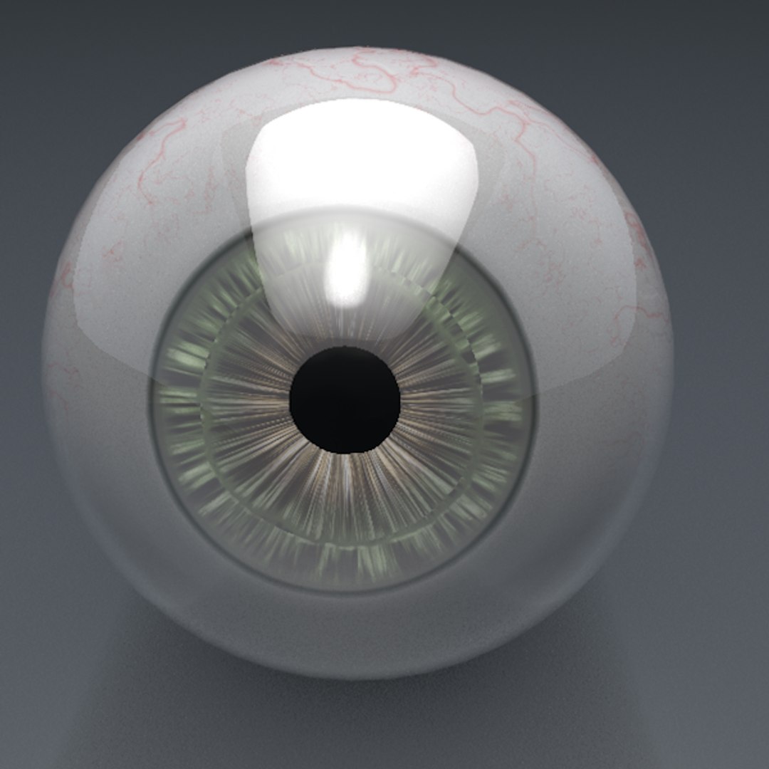 3d Human Eye
