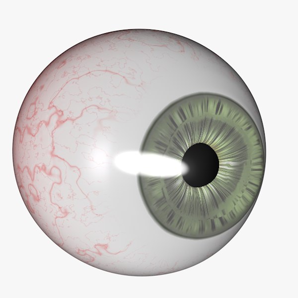 Eyes 3D Models for Download | TurboSquid