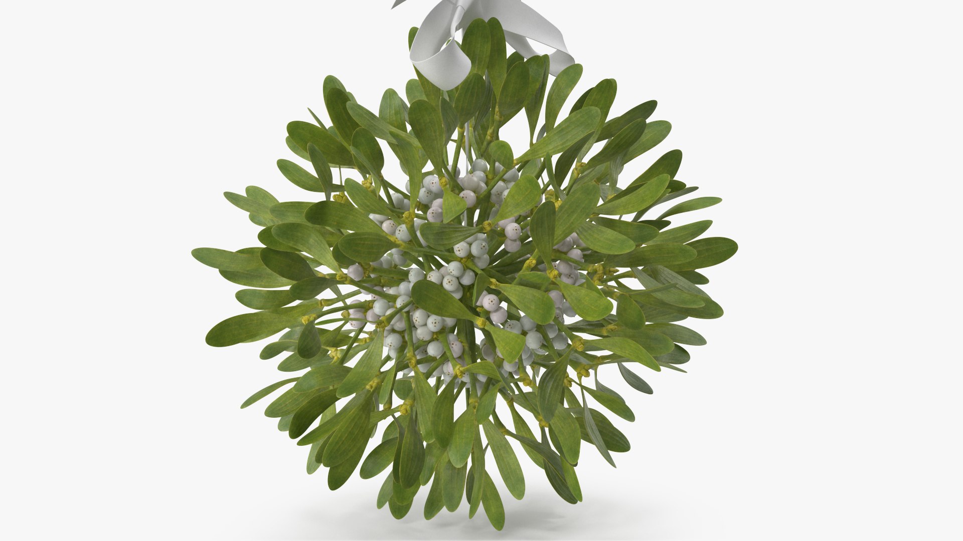 Mistletoe v 2 with White Bow 2 3D model - TurboSquid 1807563