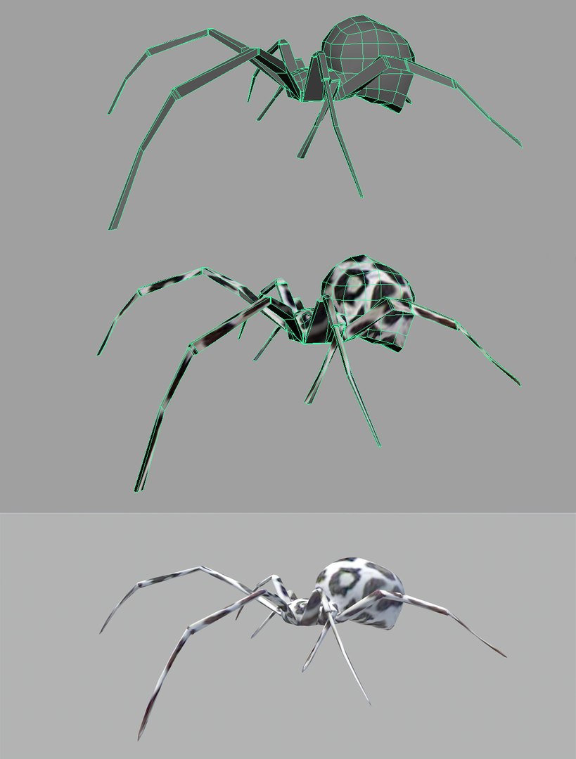 3d model spider