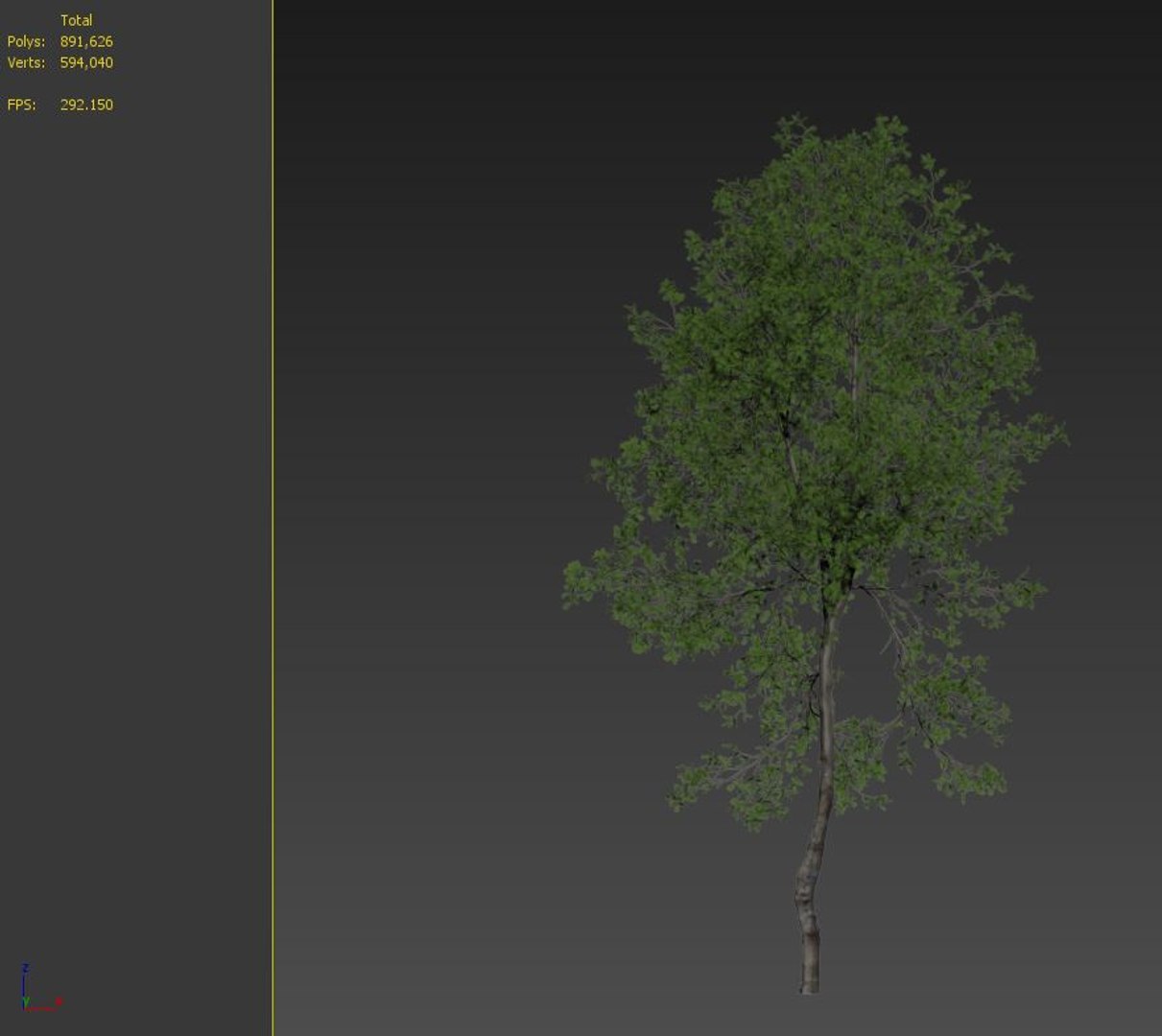 3D Young Beech Tree - TurboSquid 1980725
