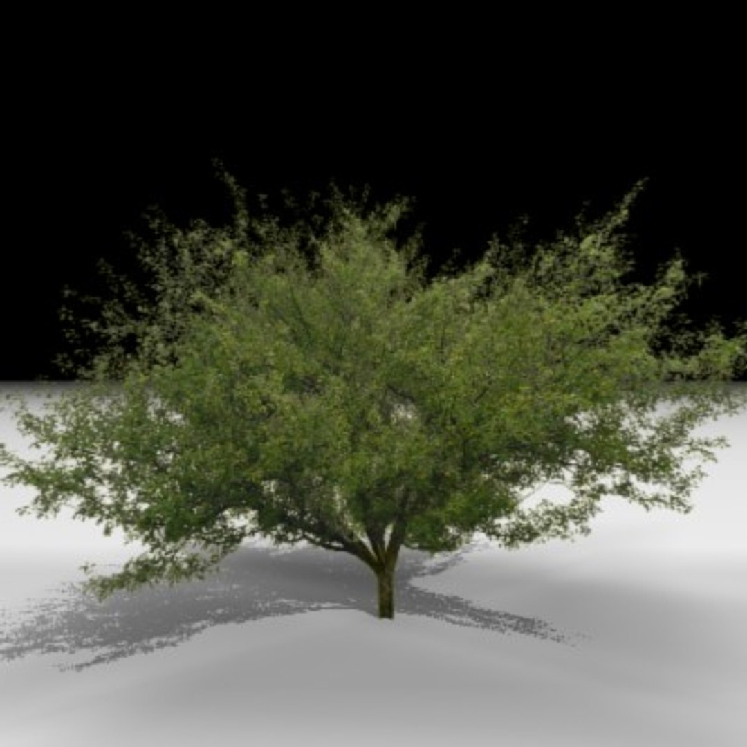 3d tree j3d