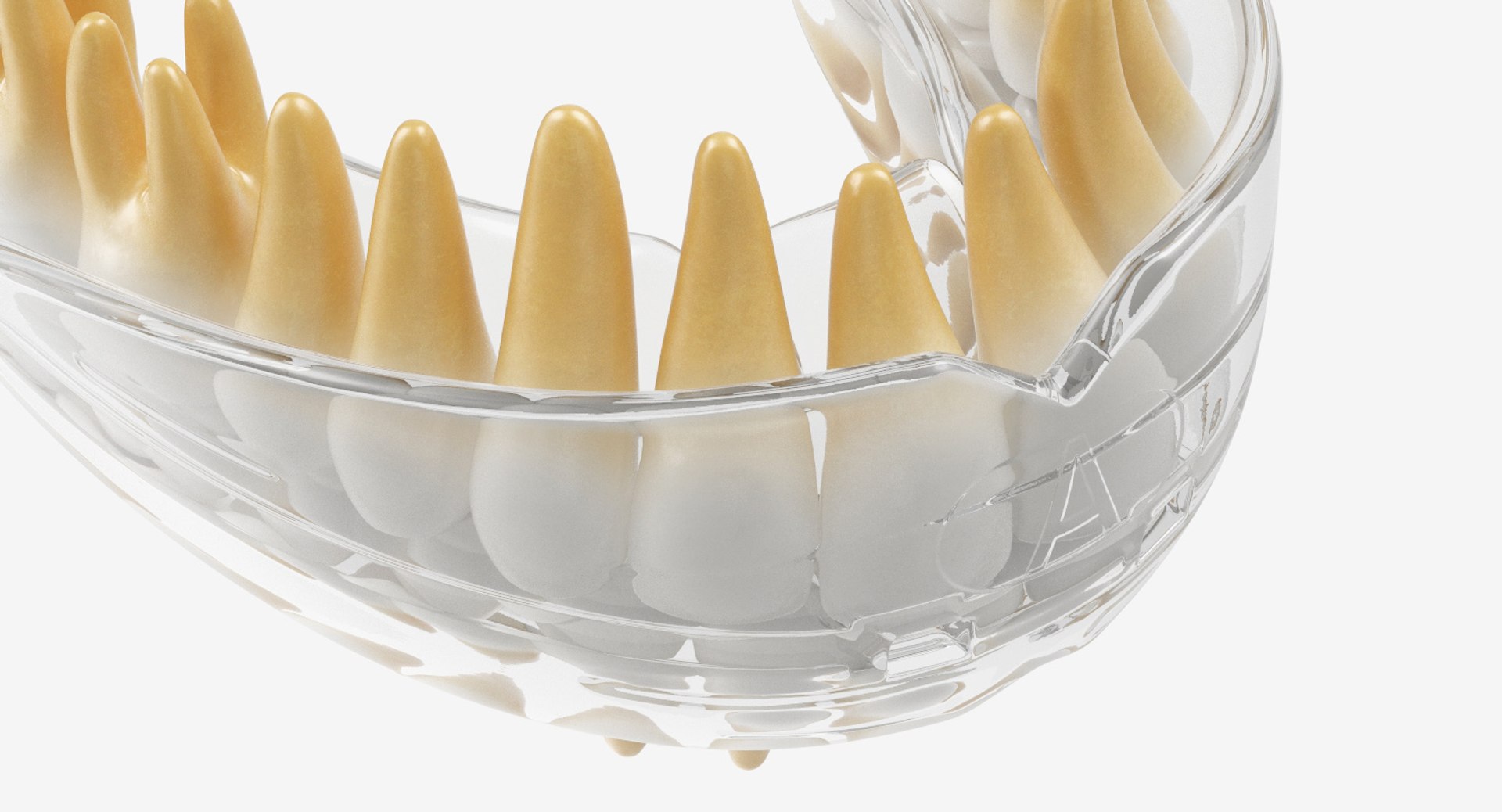 Dental Orthodontic Tooth Retainer 3D Model - TurboSquid 1318161