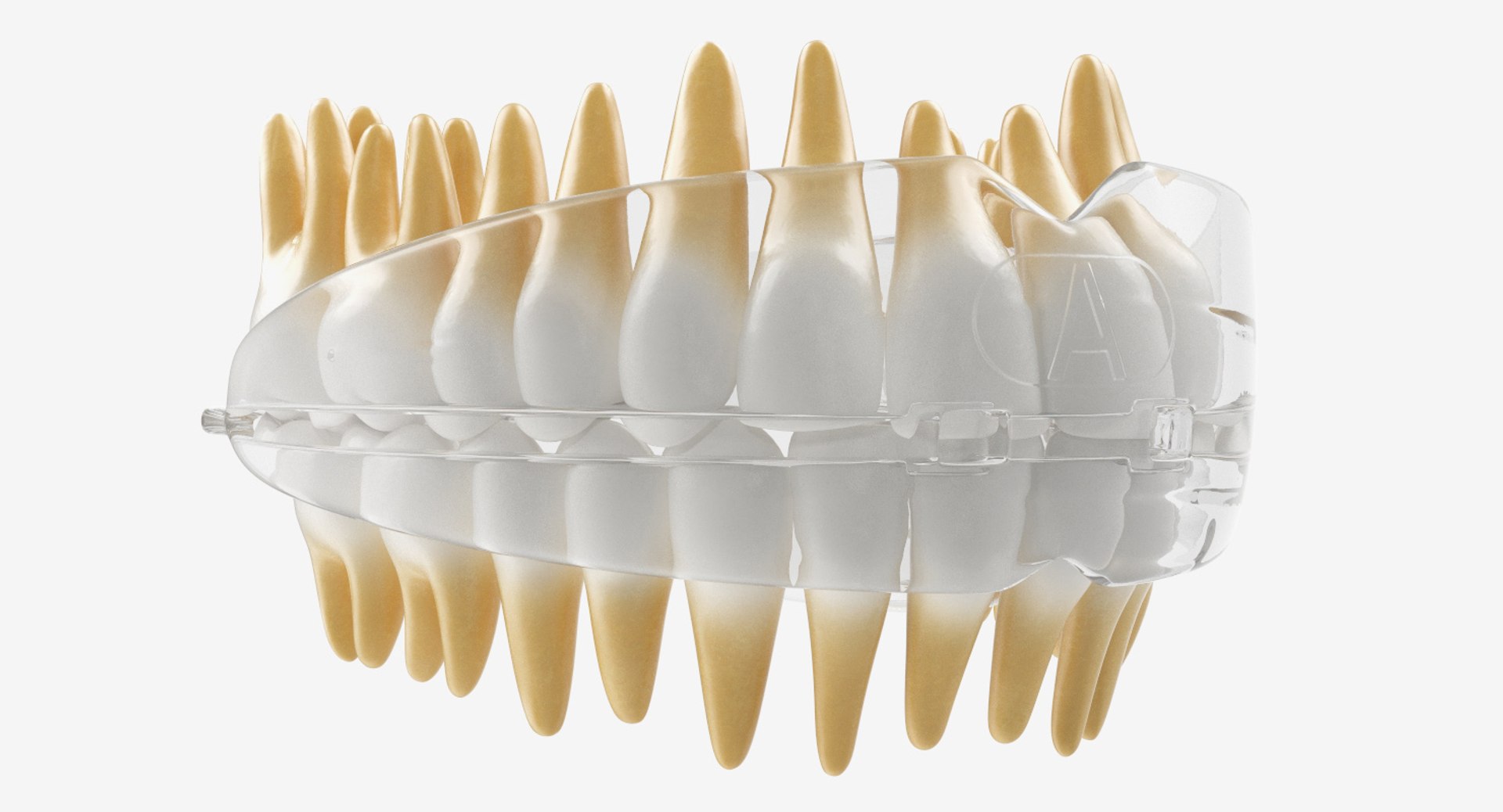 Dental Orthodontic Tooth Retainer 3D Model - TurboSquid 1318161