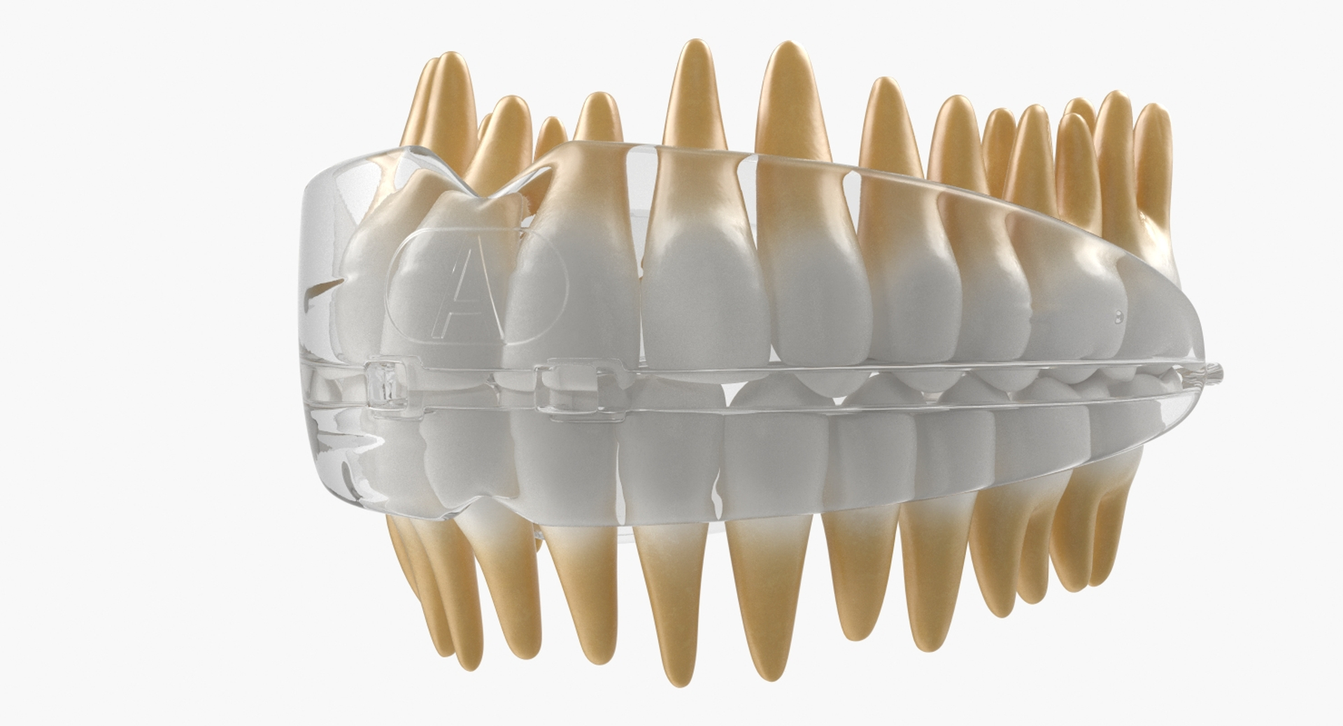 Dental Orthodontic Tooth Retainer 3D Model - TurboSquid 1318161