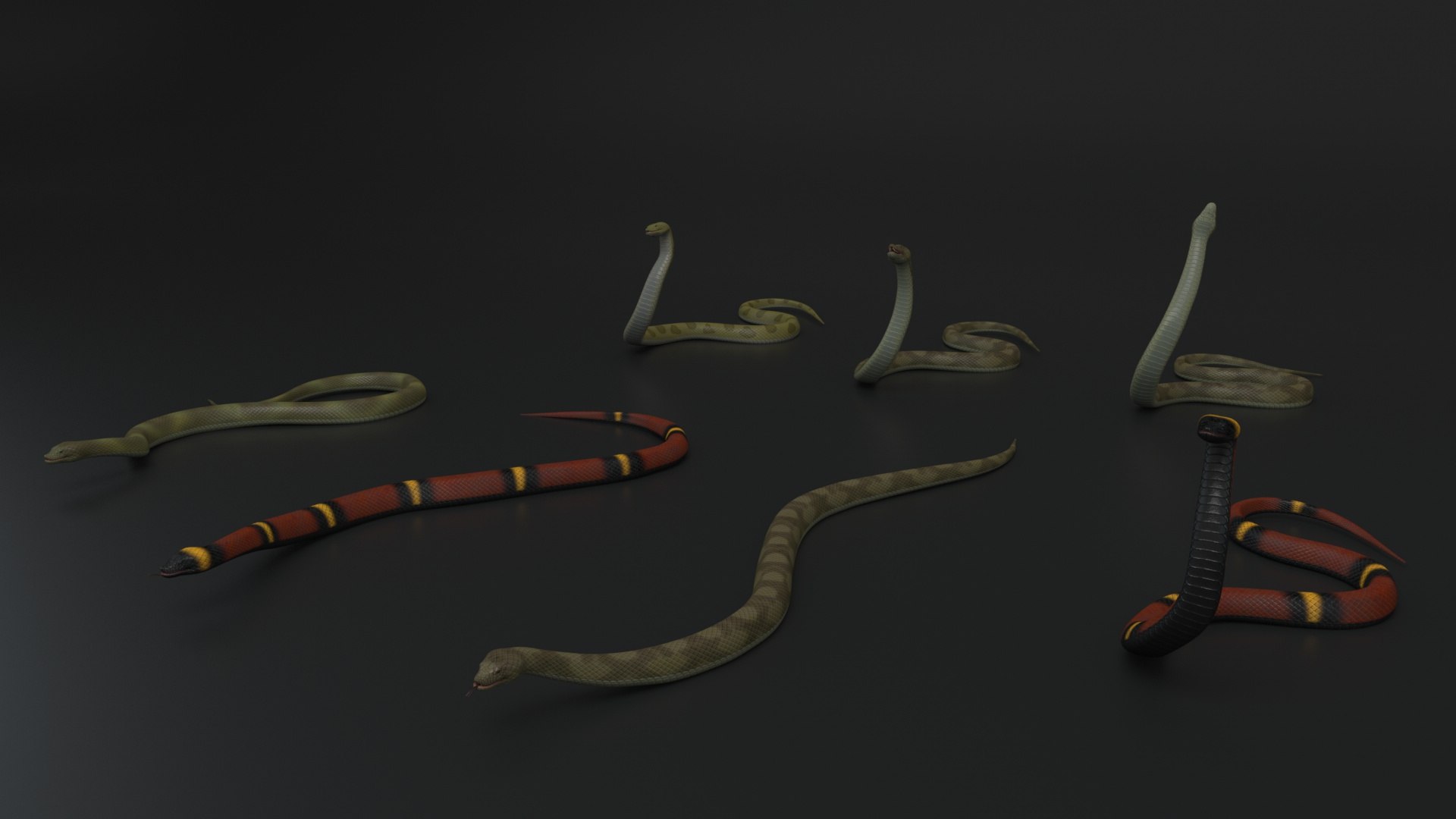 Snake Rigged And Animated 3D Model - TurboSquid 1954053