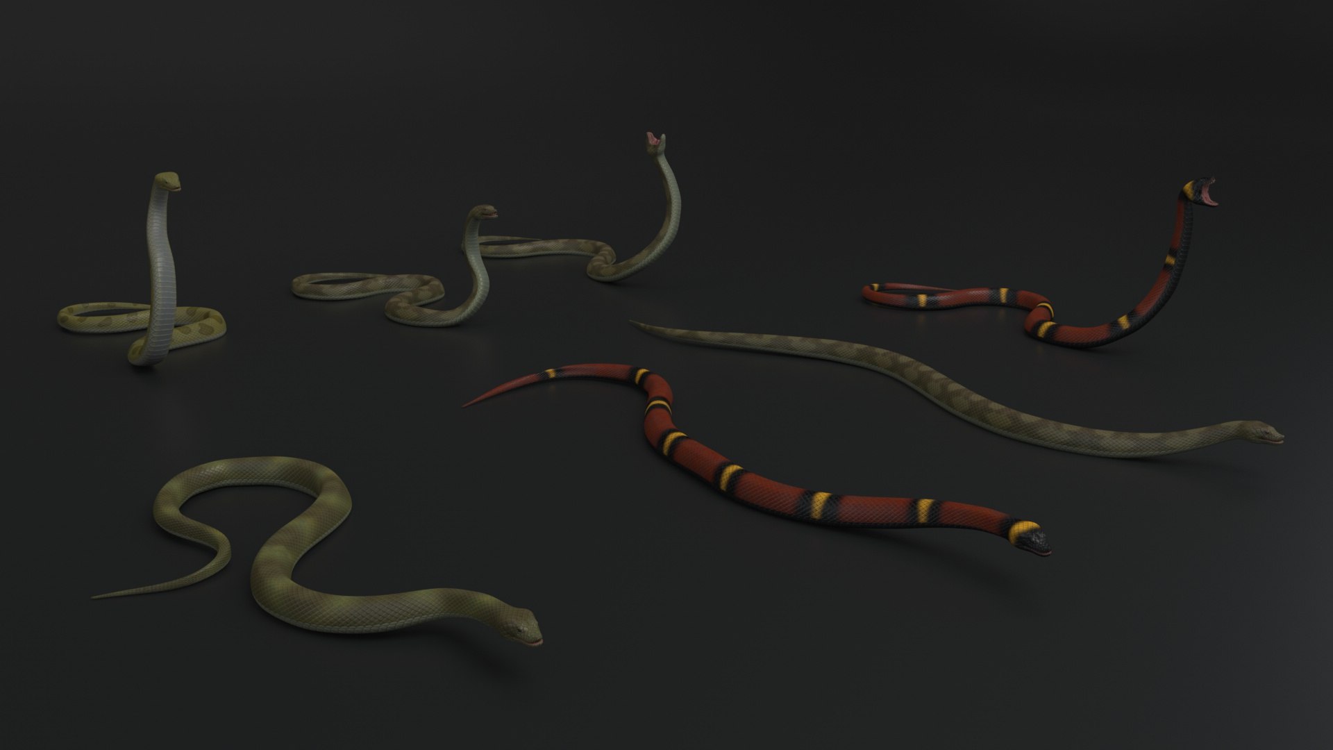 Snake Rigged And Animated 3D Model - TurboSquid 1954053