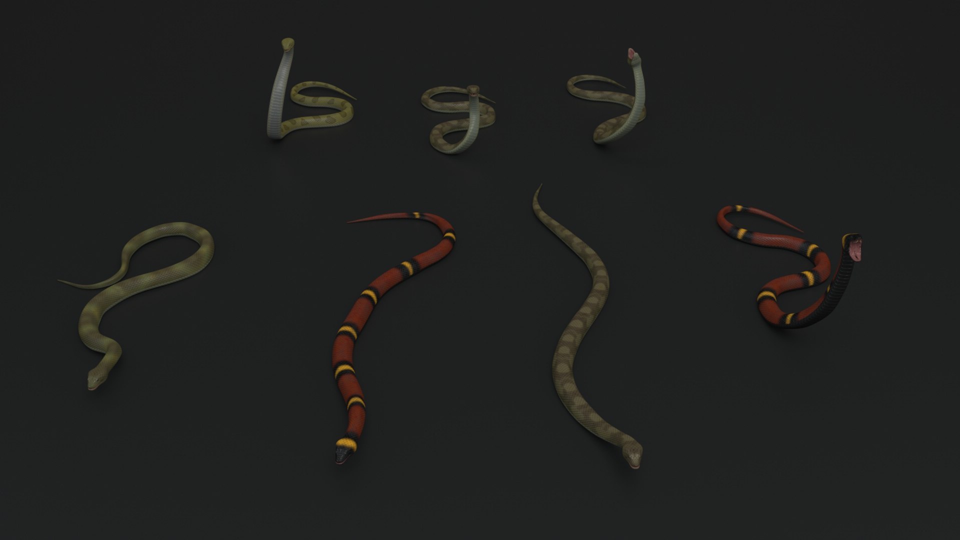 Snake Rigged And Animated 3D Model - TurboSquid 1954053