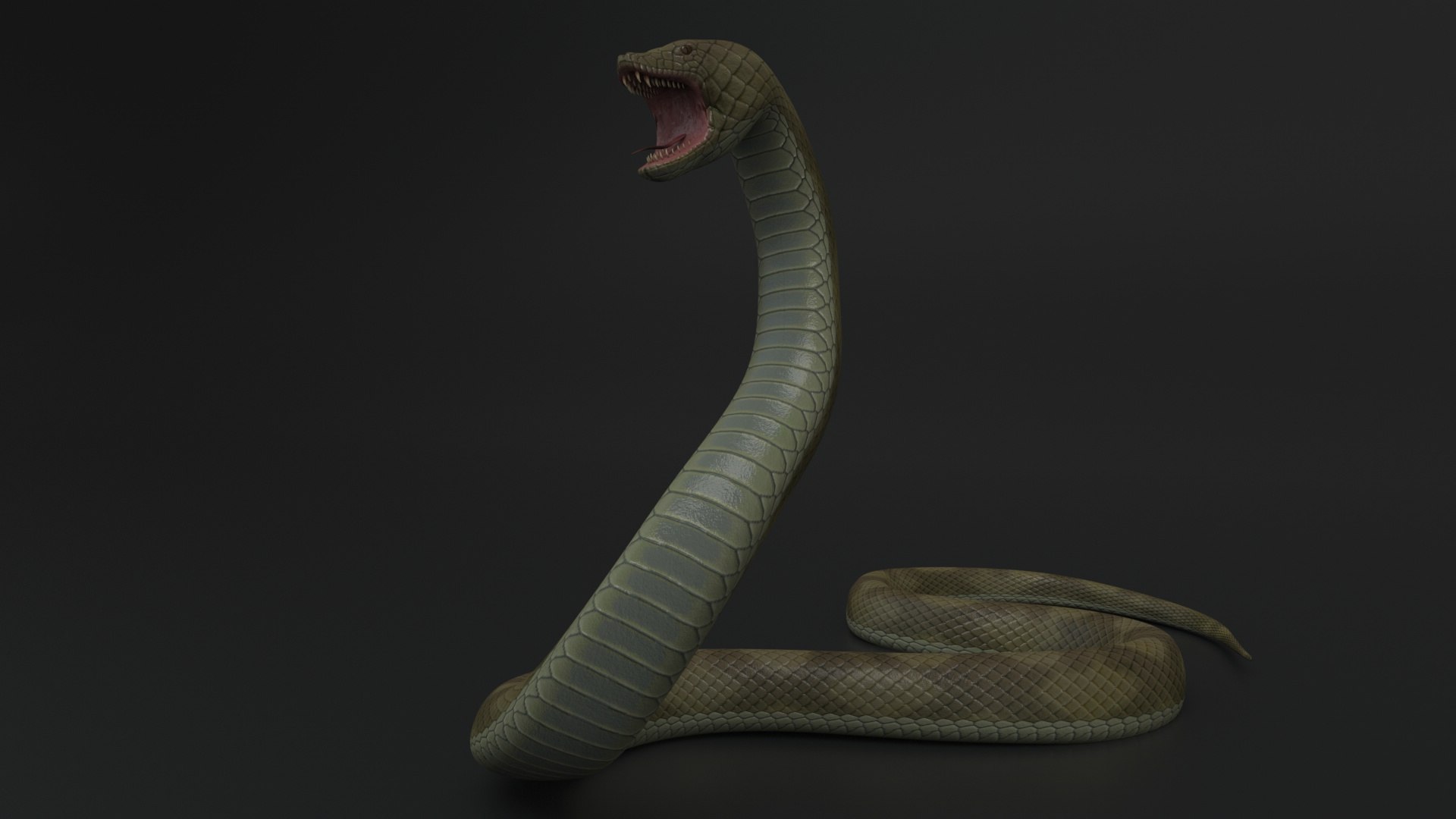 Snake Rigged And Animated 3D Model - TurboSquid 1954053